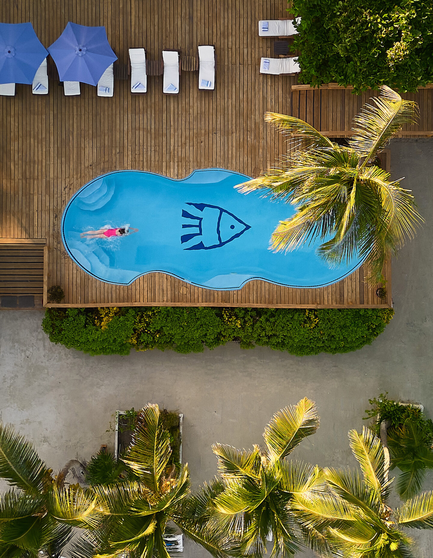 The Turneffe Atoll | Turneffe Island Resort