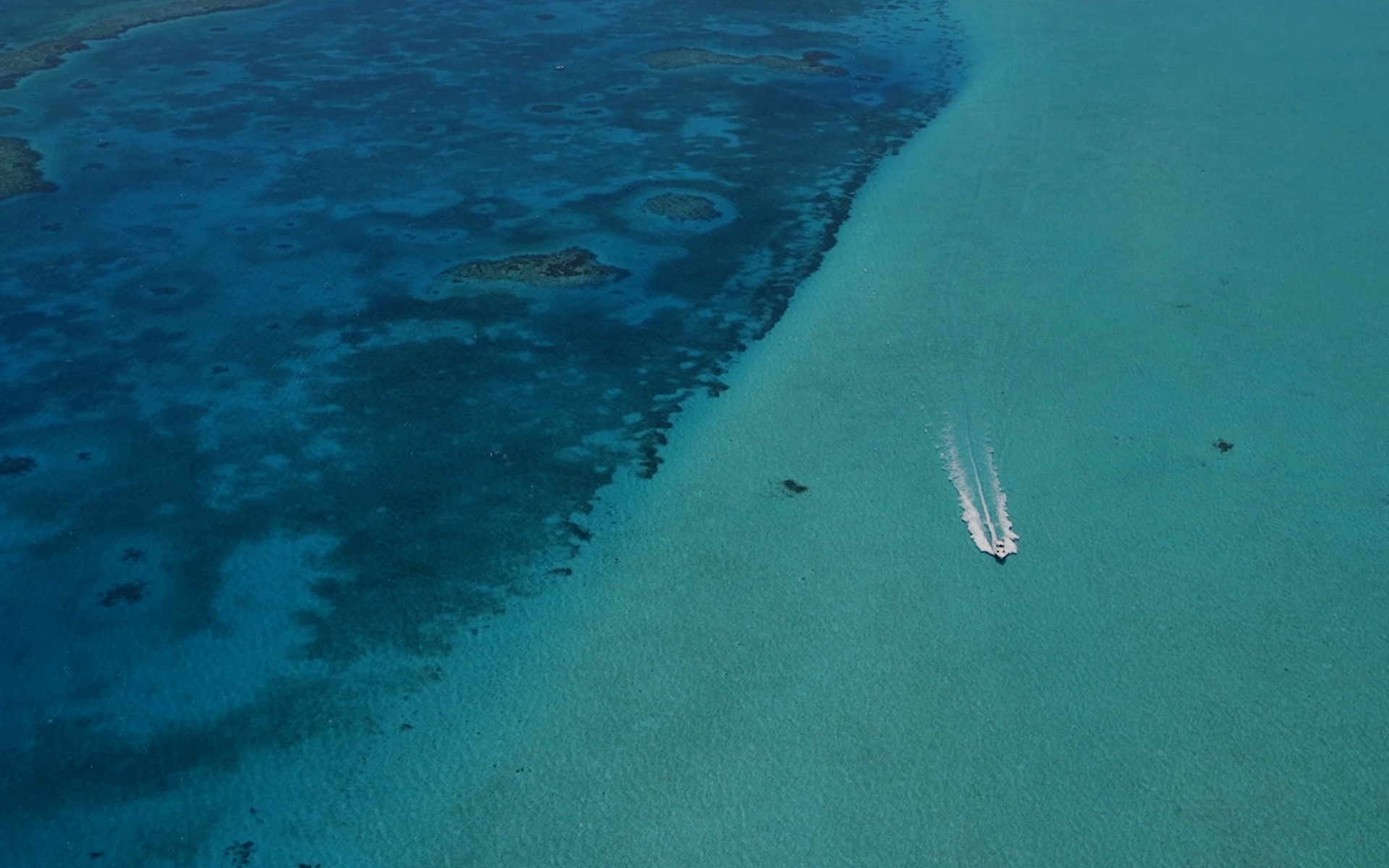 Discover the Perfect Getaway in Belize | Turneffe Island Resort