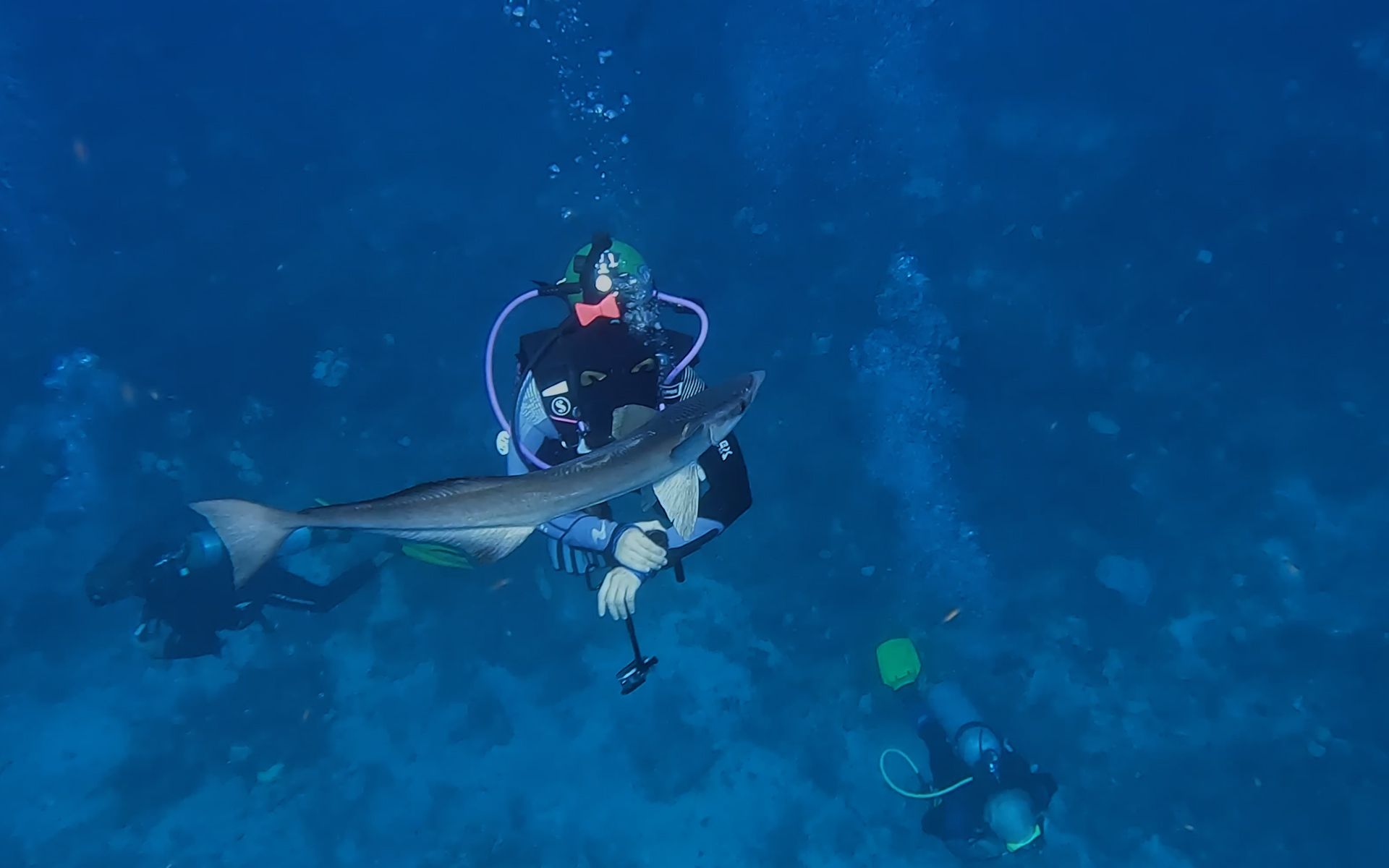 Discover the Perfect Getaway in Belize | Turneffe Island Resort